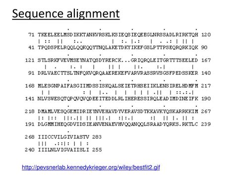 Ppt Sequence Alignment By Dynamic Programming Powerpoint Presentation Id 6650937