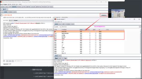 18 Owasp Top10 Sql注入（三、mssql、mysql手工注入及sqlmap工具使用）getwebshell增强版 Csdn博客