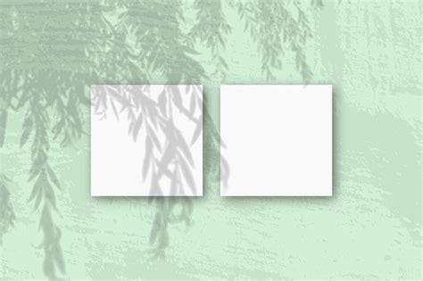 자연광은 흰색 질감의 종이 2 제곱장에 버드 나무 가지에서 그림자를 캐스팅 0명에 대한 스톡 벡터 아트 및 기타 이미지 0명 개념 단일 이미지 Istock