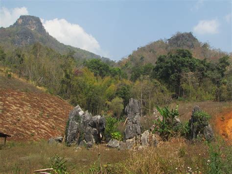 Eric Grimaldi Flickr