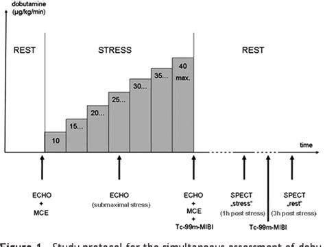 Figure 1 From Quantitative Assessment Of Cardiac Allograft Vasculopathy By Real Time Myocardial