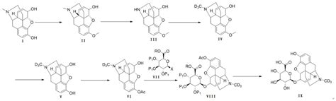 吗啡 D3 6 β D 葡萄糖醛酸苷的合成方法及其中间体化合物与流程