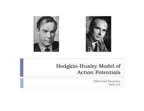 Ppt Hodgkin Huxley Model Of Action Potentials Differential
