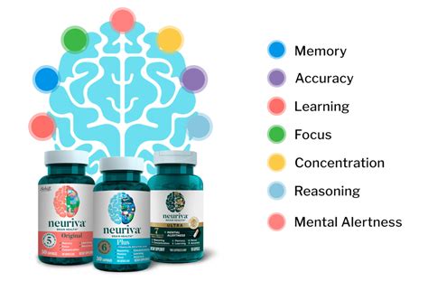 Brain Refresh Supplements