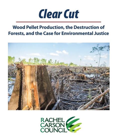 Come On Be Aware Look At Your World Look At Your Earth