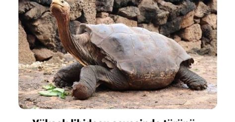 Seks Ve Libidonun Emeklilik Yaşı Kaçtır Kizlarsoruyor
