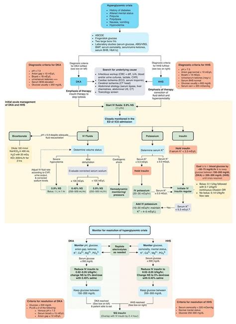 The Heart 🔴hyperglycemic Crises Dka And Hhs Diagnosis And