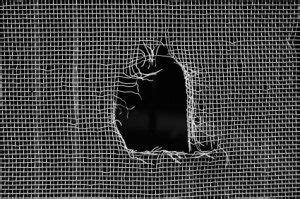 Screen Repair Best Repairs In Edmonton Screen Savers Plus