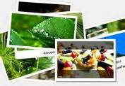 Responsive Fullscreen Photo Gallery Jquery Simple Scroll Gallery Free Jquery Plugins