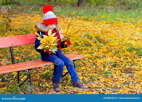 Menina No Parque Do Outono Com Folhas Foto De Stock Imagem De Felicidade Roupa