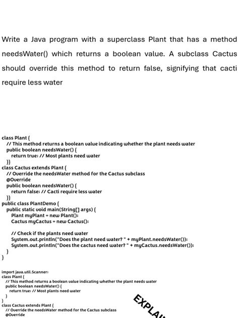 Practice Session 1 Pdf Method Computer Programming Inheritance