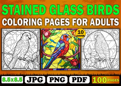 3 Adult Stained Glass Birds Coloring Pages Designs And Graphics