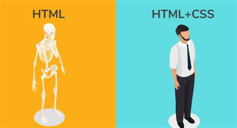 mastering web design elevate with subtle animations vimcolors