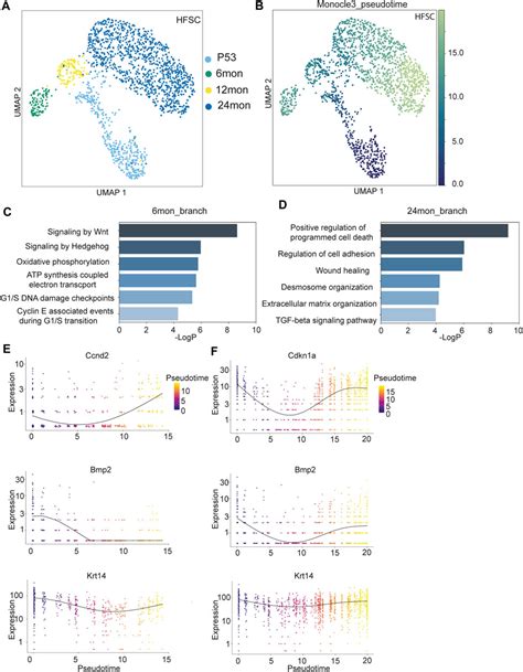 Frontiers Single Cell Analysis Of Transcriptome And Open Chromatin Reveals The Dynamics Of