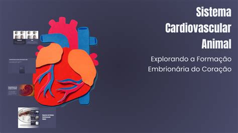 Sistema Cardiovascular Animal By Marcelly Foro On Prezi