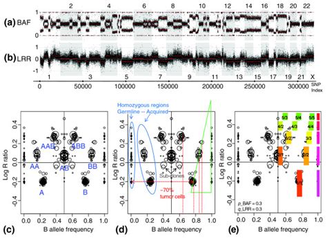 The Whole Genome Single Nucleotide Polymorphism Snp Array Profile And
