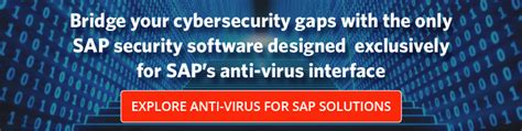 Malware Detection For Sap Applications