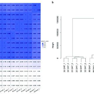 Correlation Of RNA Seq Data Among 18 P Ostii Seed Samples A Heat Map Download Scientific