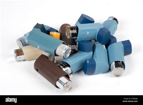 Dry Powder Inhaler Environment At Venus Rasch Blog