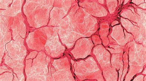 Neurons And Synapses Network Complex Neural Structure Visualization Stock Image Image Of