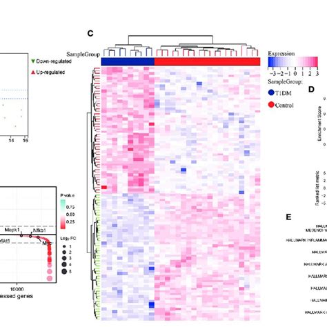 A Volcano Plot Of Differential Expression Analysis In Gse37450