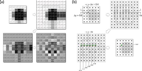 ncorr open source 2d digital image correlation matlab software
