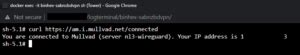 How To Set Up Binhex VPN Docker Containers On Mullvad Wireguard Anebula