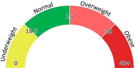 Tdee And Macros Calculator Daily Calories And Macros