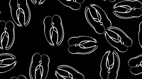 Premium Vector Salmon On A Yellow Background Vector Illustration Pattern A Piece Of Pink