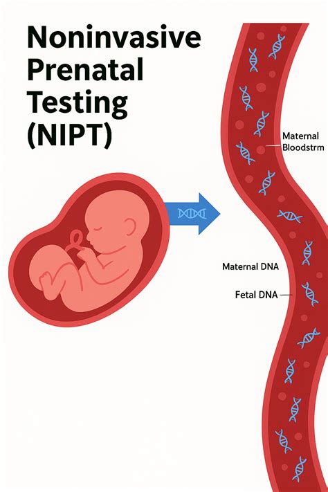 Non Invasive Prenatal Paternity Test At Home Dna Kit