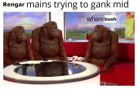 BAIT BAIT BAIT BAIT Scrolller