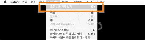 애플 맥 및 맥북 사파리 브라우저 쿠키 및 캐시 검색기록 삭제 방법 Onna