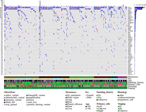 Mutational Landscape Of 272 Nsclc Patients Each Column Represents An