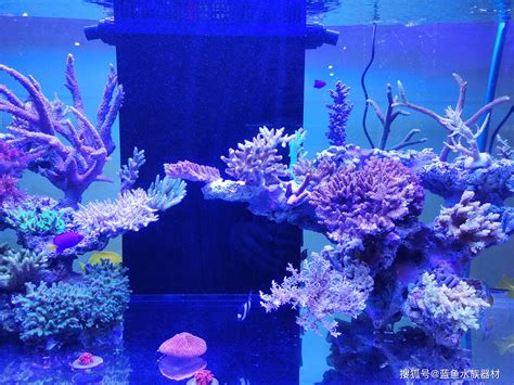 海水造景 重新 第19页 大山谷图库