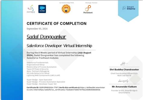 Salesforce Internship Smartbridge Persistent Techinnovation