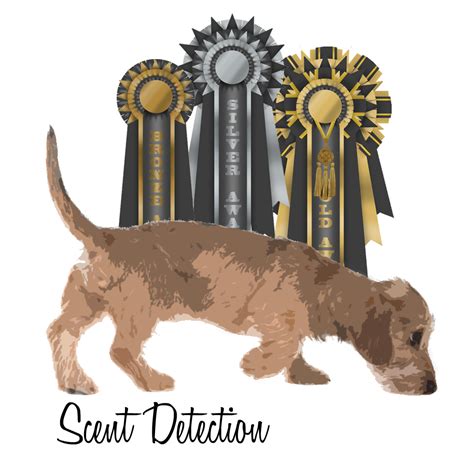 Scent Detection Clever Paws Academy