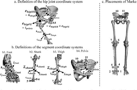 Figure 1 From A Non Orthogonal Joint Coordinate System For The Calculation Of Anatomically