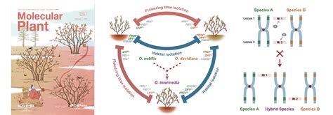 我校生命学院刘建全团队与云南大学于黎团队共同在science发文 揭示黔金丝猴的同倍性杂交起源 四川大学新闻网