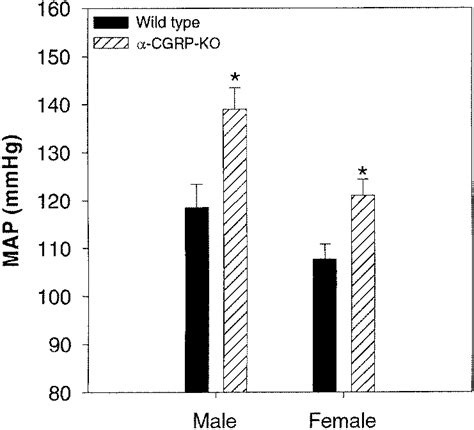 Map Determinations Made With An Indwelling Carotid Arterial Catheter Download Scientific