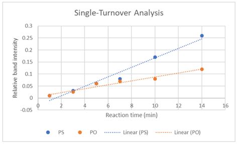 Phosphorothioate Ps Modification Of Mrna Yields More Efficient Protein Synthesis Trilink