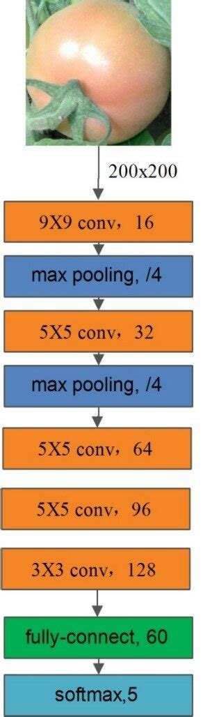 Cnn Based Architecture For Classification System Download Scientific Diagram