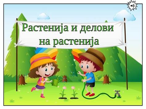 Book Creator Растенија и делови на растенија