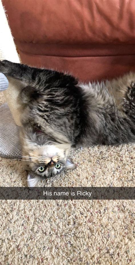 Ive Been Watching Eliot And Ricky For Years I Always Thought Ricky Was A Cool Name So I Named