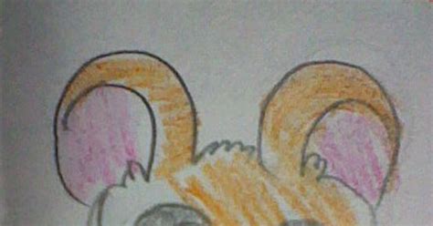 Hamtaro Hamtaro Oxnard Hamtaro ハムちゃんず 1 Pixiv