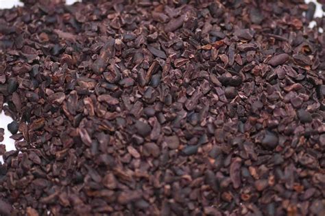 Alkalized Cocoa Nibs at kg कक बन in Kottayam ID