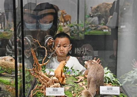 浙江仙居：开学在即 博物馆迎来游学潮 人民图片网