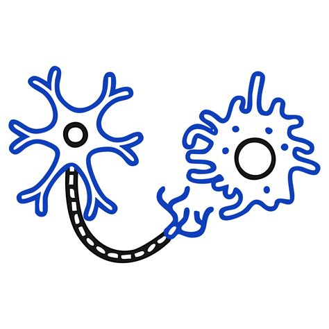 Neuroscience Harnessing Spatial Transcriptomics With Rnascope Bio Techne