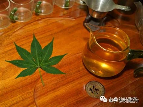 甜茶，金秀产，野生甜茶 知乎