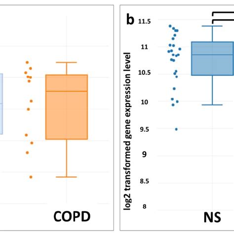 Patterns Of Expression Of The Abca1 Gene In Alveolar Macrophages Download Scientific Diagram