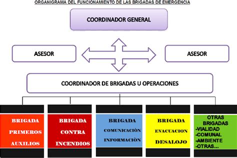 Pa`doctorado Taller Conformaciòn De Brigadas De Emergencias